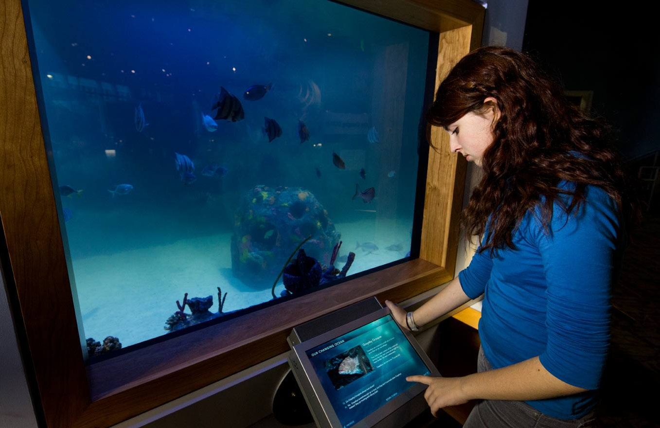 » Nature Research Center North Carolina Museum of Natural Sciences