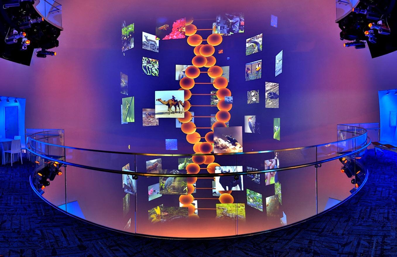 » Nature Research Center North Carolina Museum of Natural Sciences
