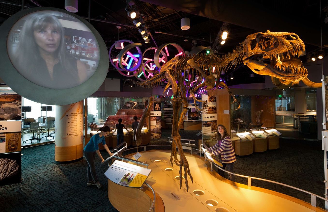 » Nature Research Center North Carolina Museum of Natural Sciences